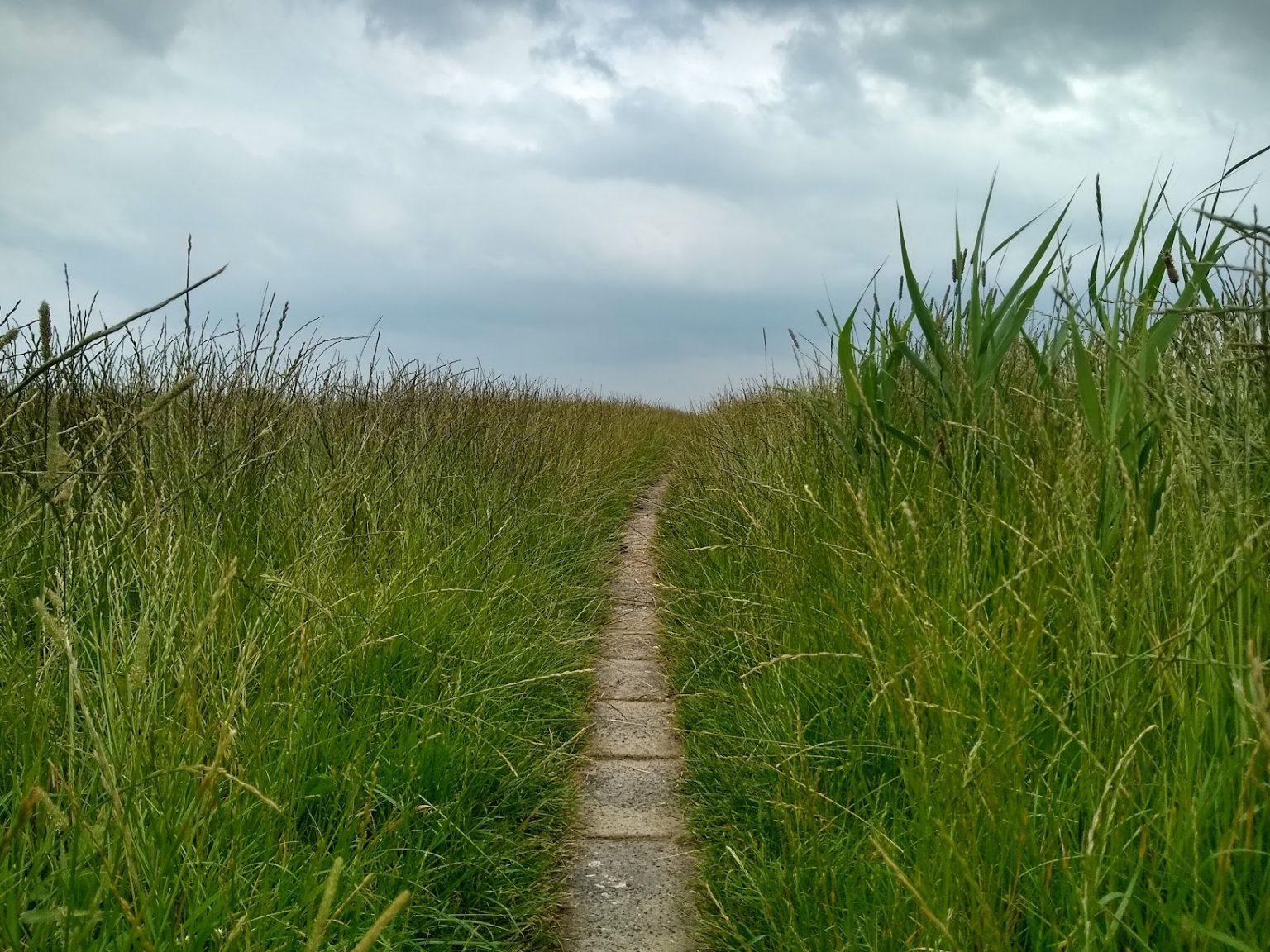 Historische paden en wegen in de gemeente Súdwest-Fryslân - Cultuurland ...